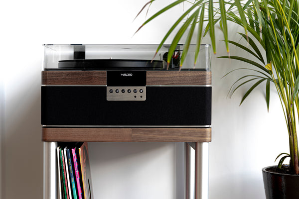 THE+RP SYSTEM SPECIAL EDITION - Plusaudio.com